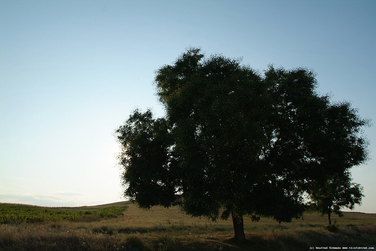 Photography and Journey, Romania, Danube Delta and the Carpathian ...
